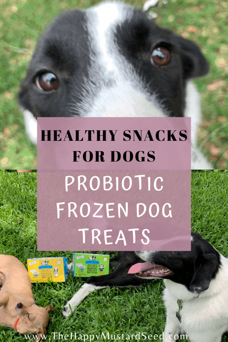 Healthy Snacks For Dogs - Probiotic Frozen Dog Treats - The Happy ...