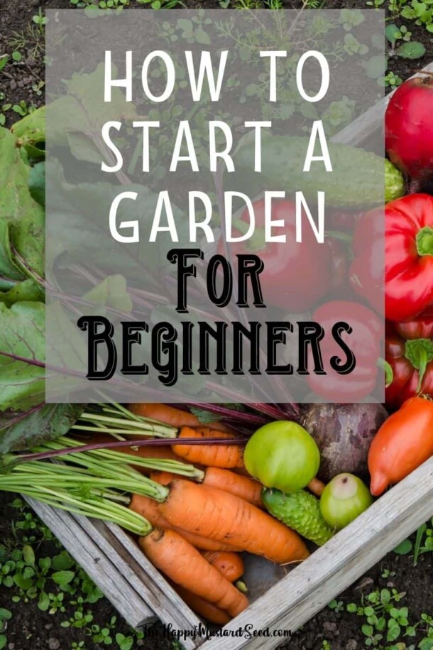 Gardening 101: How to Start A Vegetable Garden For Beginners - The ...