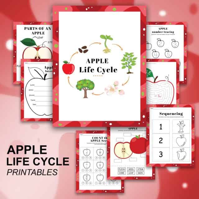 Want your kids to eat more apples? Try our apple worksheets FREE! Eat ...
