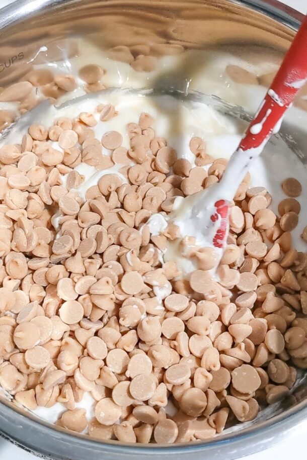 No Bake Condensed Milk Fudge (Double Decker Fudge) - The Happy Mustard Seed